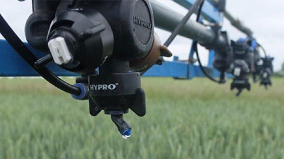 Application | Syngenta